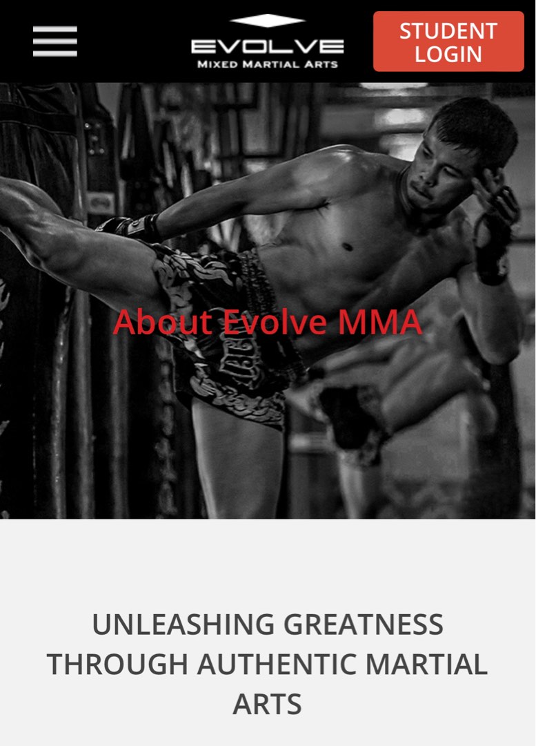 Evolve MMA Membership (Far East Square), Everything Else on Carousell