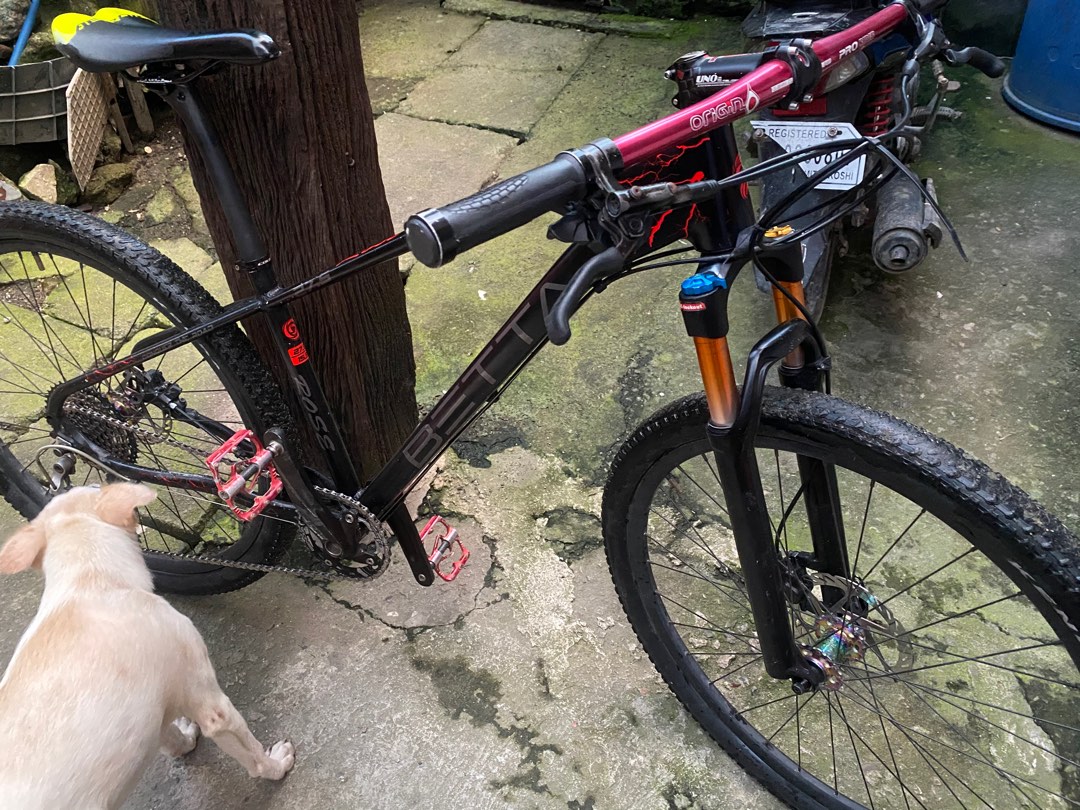 For sale mtb betta, Sports Equipment, Bicycles & Parts, Bicycles on ...