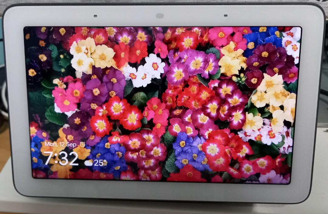 Google Nest Hub (1st gen) for sale, TV & Home Appliances, TV ...