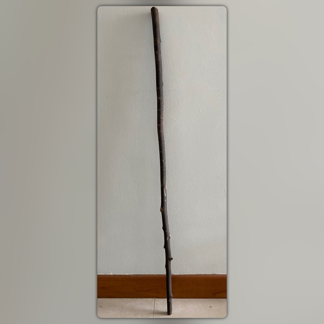 Kayu Tas / Kayu Hujan Panas (Jantan), Sports Equipment, Hiking ...