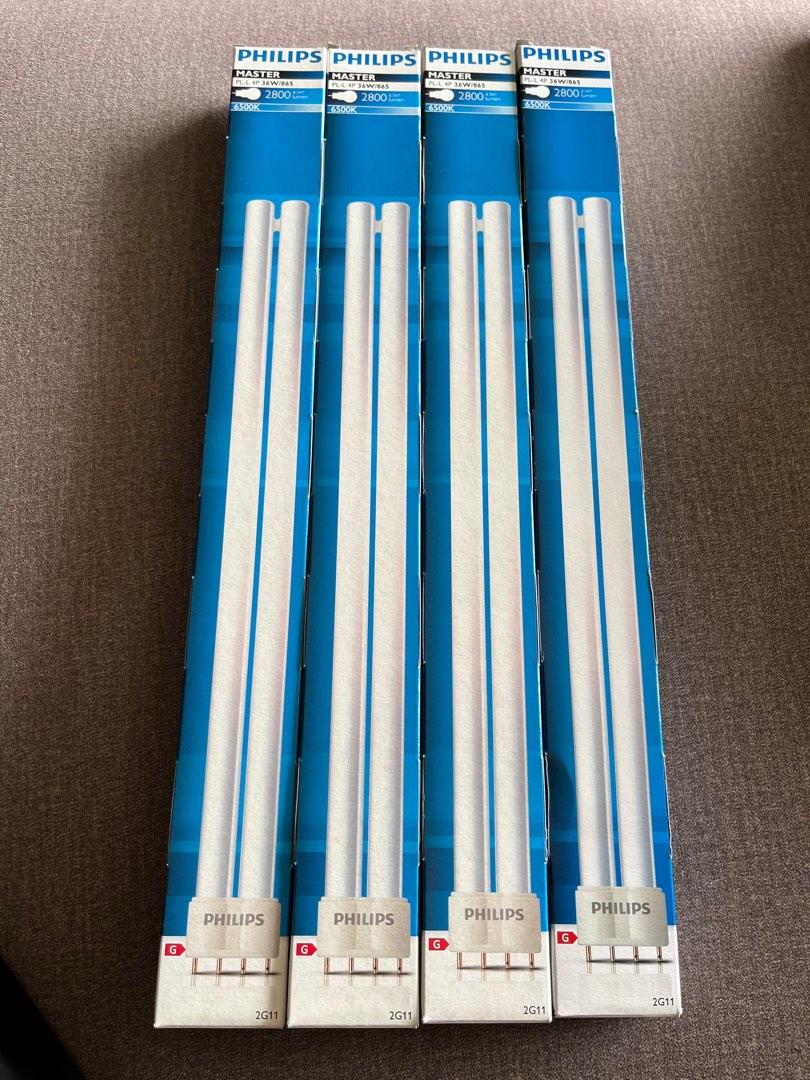 Philips PL-L 4P 36W/865, Furniture & Home Living, Lighting & Fans ...