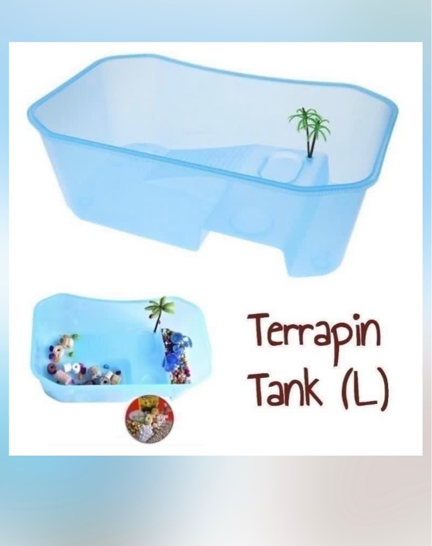 Terrapin Tank Largest Size, Sports Equipment, Fishing on Carousell