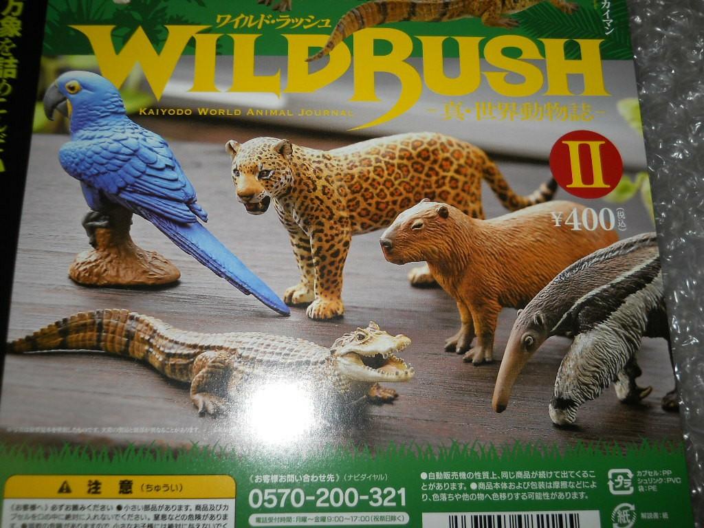 全新 未開 大全套 5款 Wild Rush part 2 海洋堂 kaiyodo capsule q 動物 世界動物誌 扭蛋, 興趣及遊戲 ...