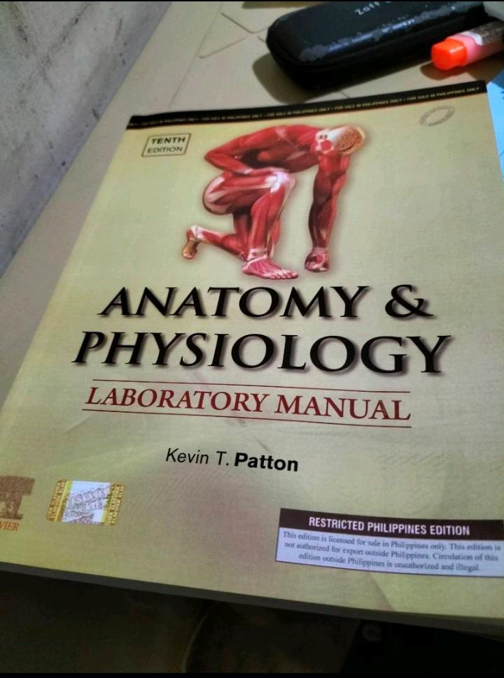 Anatomy And Physiology Lab Manual 10th Edition Hobbies And Toys Books