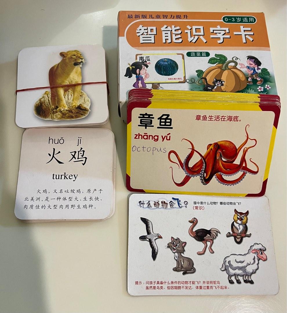 Clearance Chinese flashcards, Hobbies & Toys, Books & Magazines ...