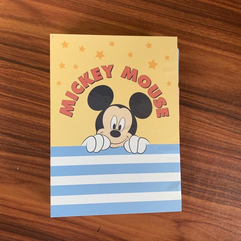 Diary Binder Schedule Book 2021 Princess Mickey Mouse Minnie Character ...