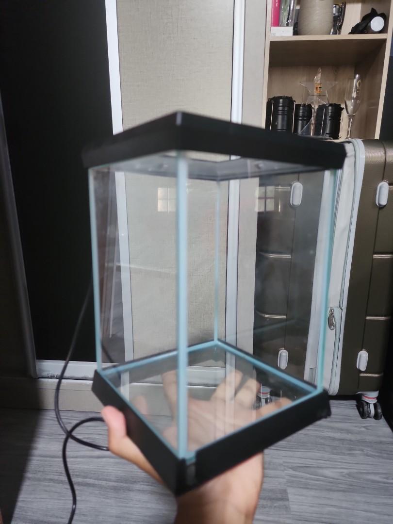 Ocean Free Betta Space (5L) Fish Tank A, Pet Supplies, Homes & Other ...