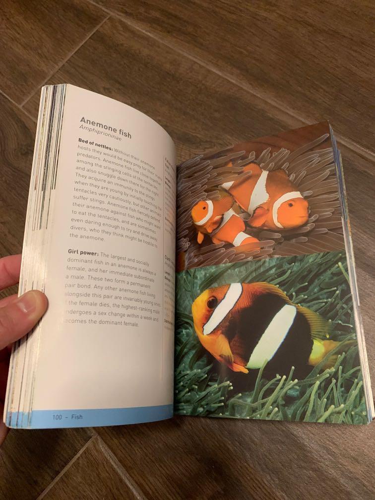 Tropical marine life book, Hobbies & Toys, Books & Magazines, Travel ...