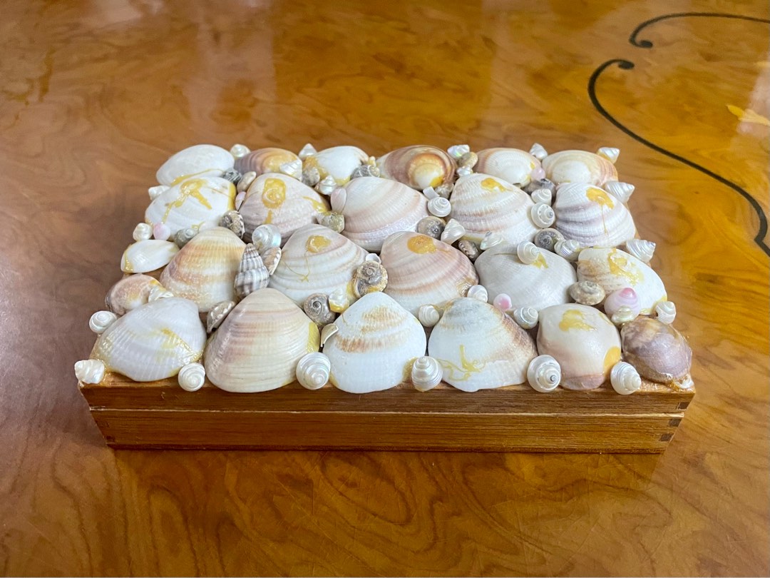 Vintage Dutch Ritmeester Livarde Sea Shells Cigar Box 17x11x5cms ...