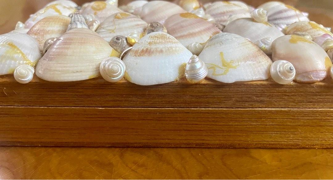 Vintage Dutch Ritmeester Livarde Sea Shells Cigar Box 17x11x5cms ...