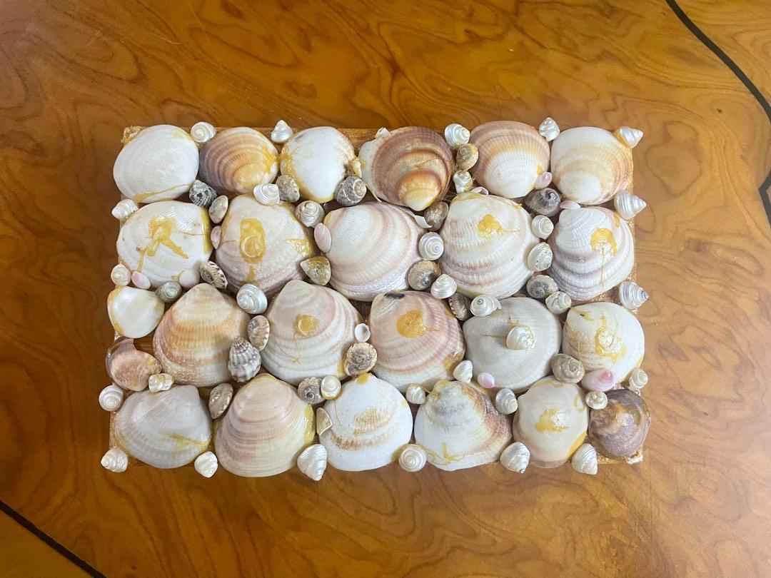 Vintage Dutch Ritmeester Livarde Sea Shells Cigar Box 17x11x5cms ...