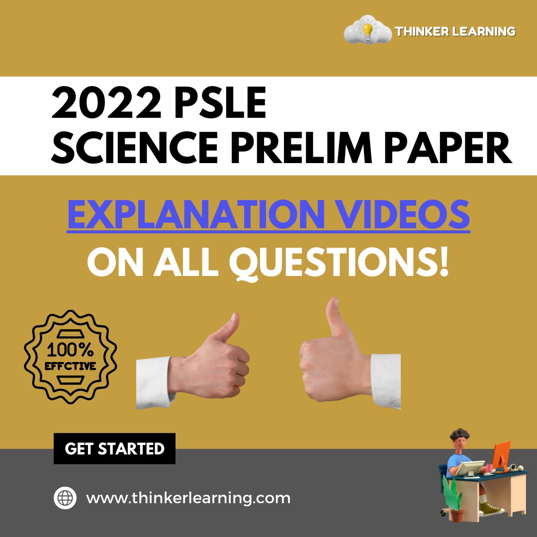 2022 PSLE Science Prelim Exam - Video Guide, PSLE Science Help, Hobbies ...