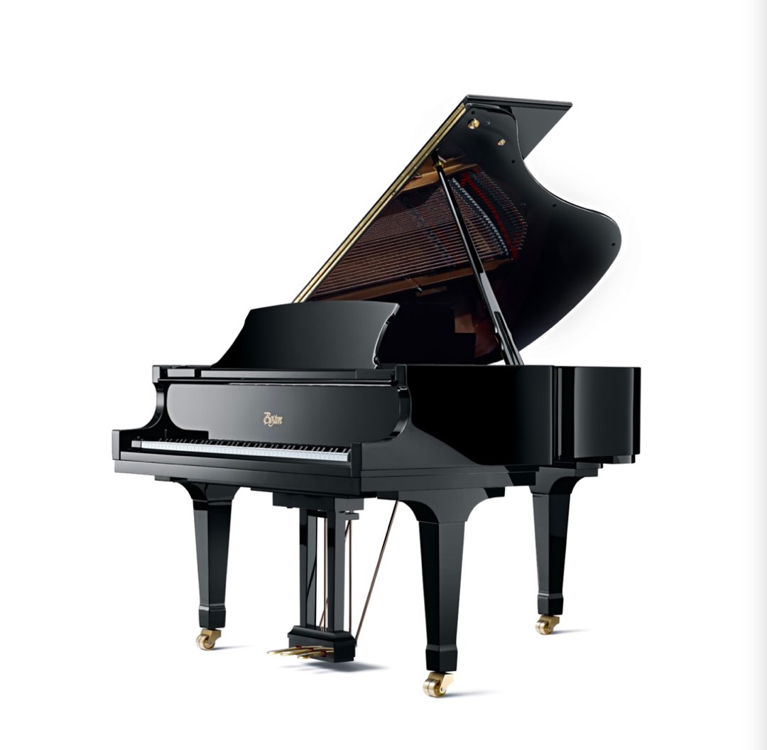 Boston GP 178, Hobbies & Toys, Music & Media, Musical Instruments on ...