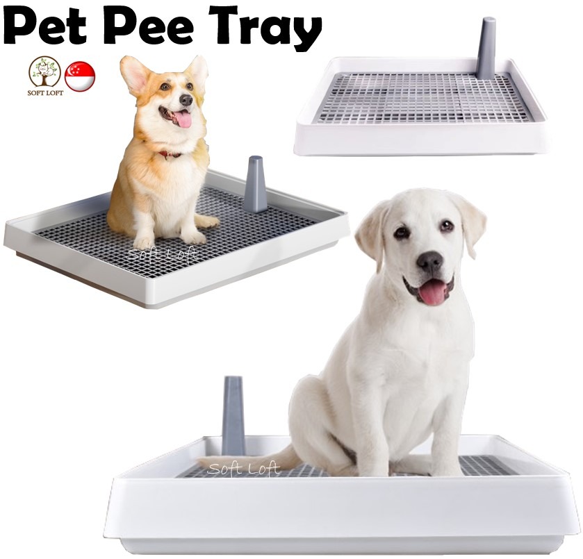 Dog Pee Tray Pet Toilet Plastic Dog Training Pads Tray Toilet Mat Puppy ...