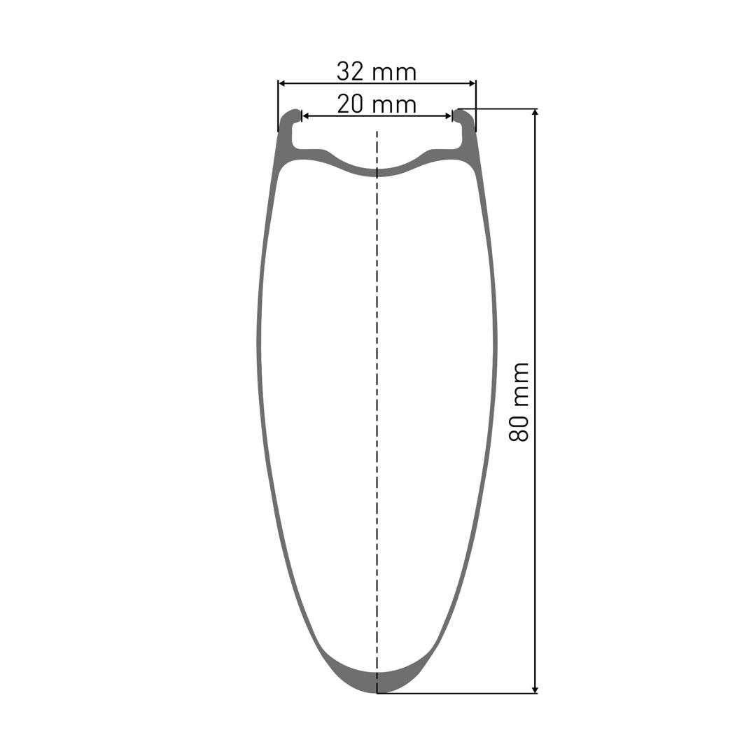 DT Swiss ARC 1100 DICUT db 80 Wheelset, Sports Equipment, Bicycles ...