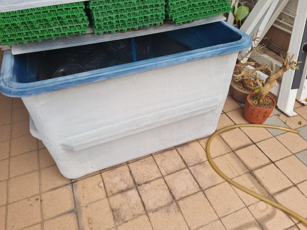 Fgt 5x3x2 with overhead filter box, Pet Supplies, Homes & Other Pet ...