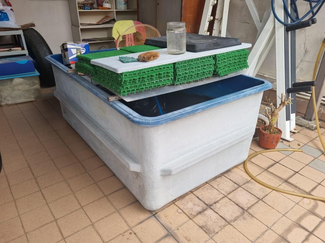 Fgt 5x3x2 with overhead filter box, Pet Supplies, Homes & Other Pet ...