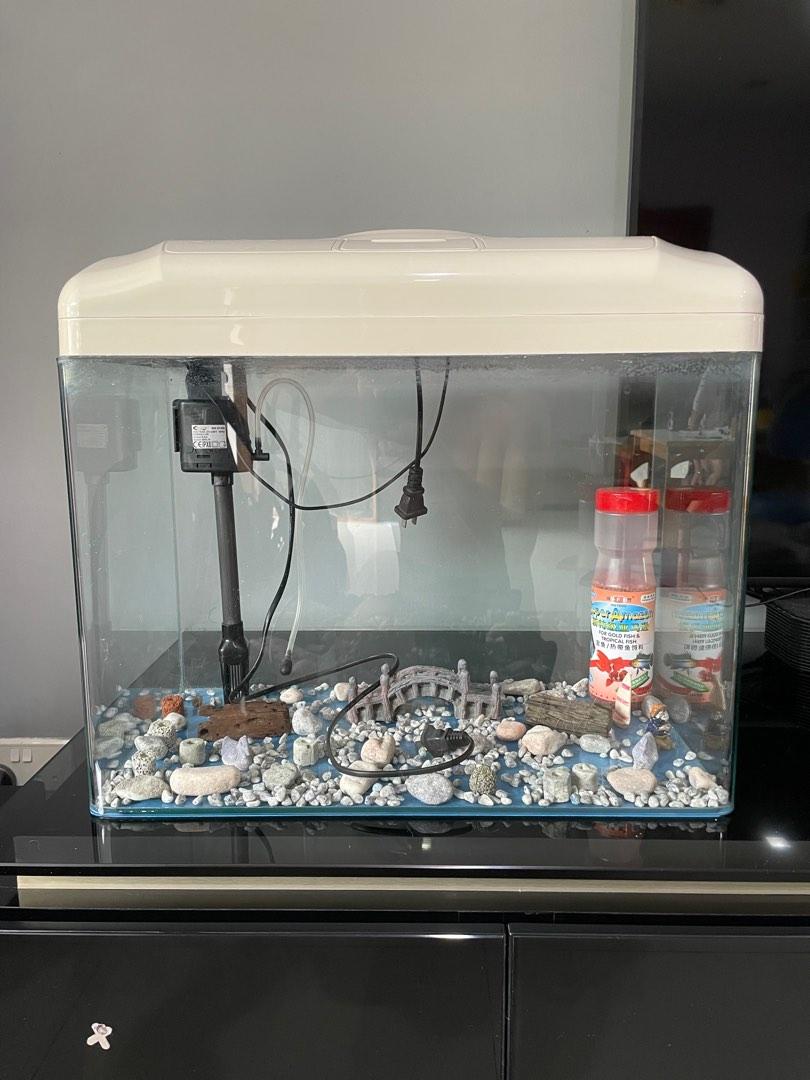 Fish Tank Set, Pet Supplies, Homes & Other Pet Accessories on Carousell