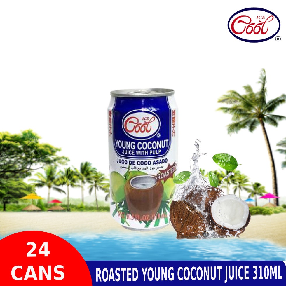 ICE COOL YOUNG COCONUT / ROASTED COCONUT 310ML / 500ML X 24S - FLAMING ...