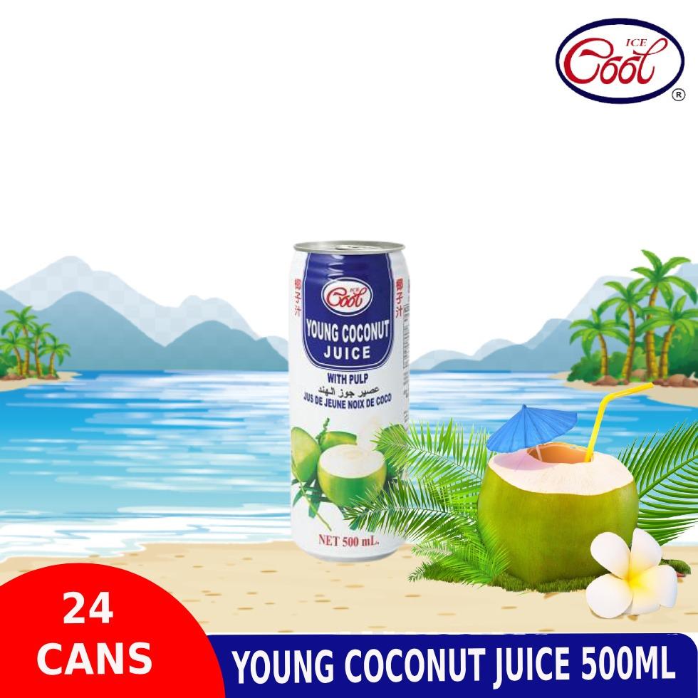 ICE COOL YOUNG COCONUT / ROASTED COCONUT 310ML / 500ML X 24S - FLAMING SALES!, Food & Drinks ...
