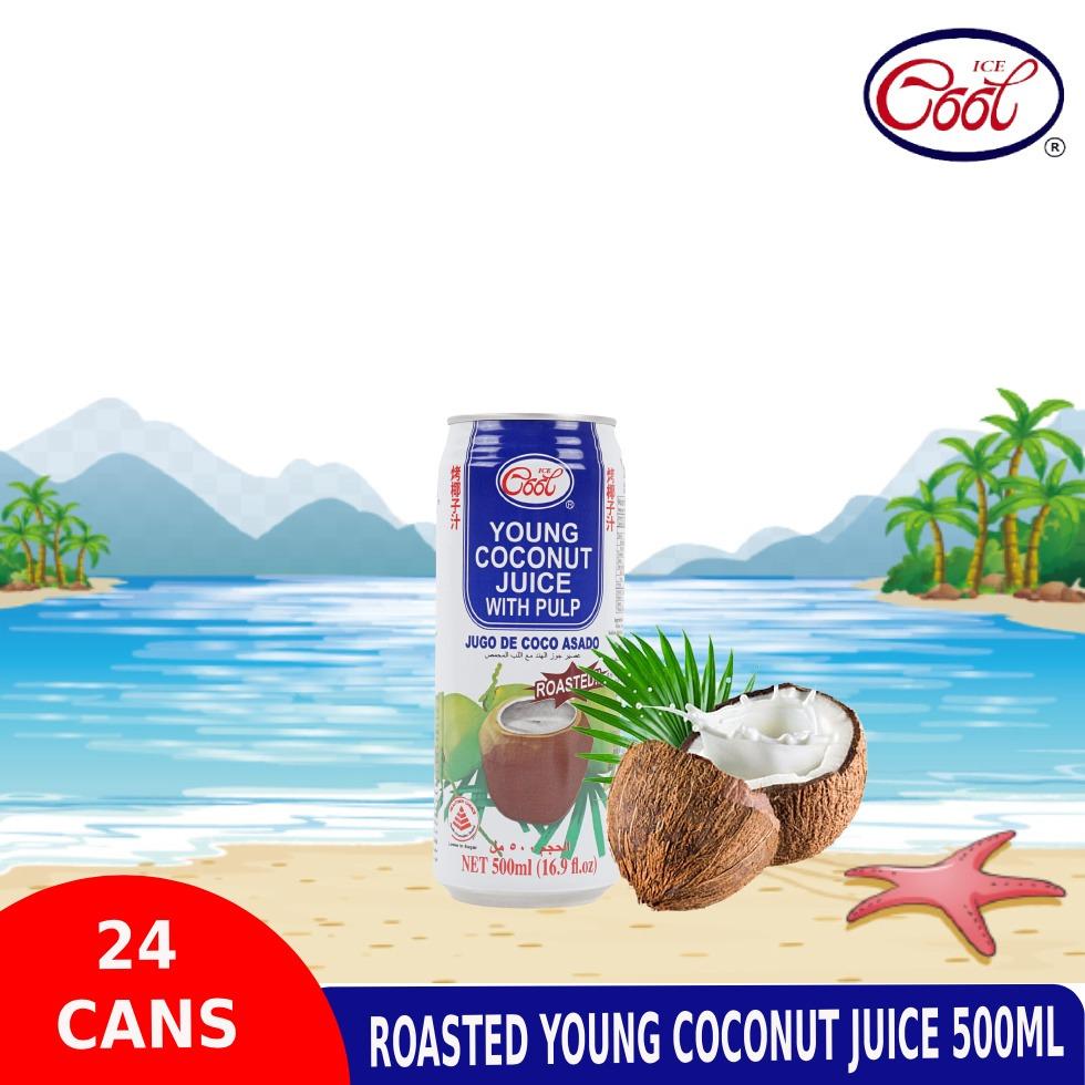 ICE COOL YOUNG COCONUT / ROASTED COCONUT 310ML / 500ML X 24S - FLAMING ...
