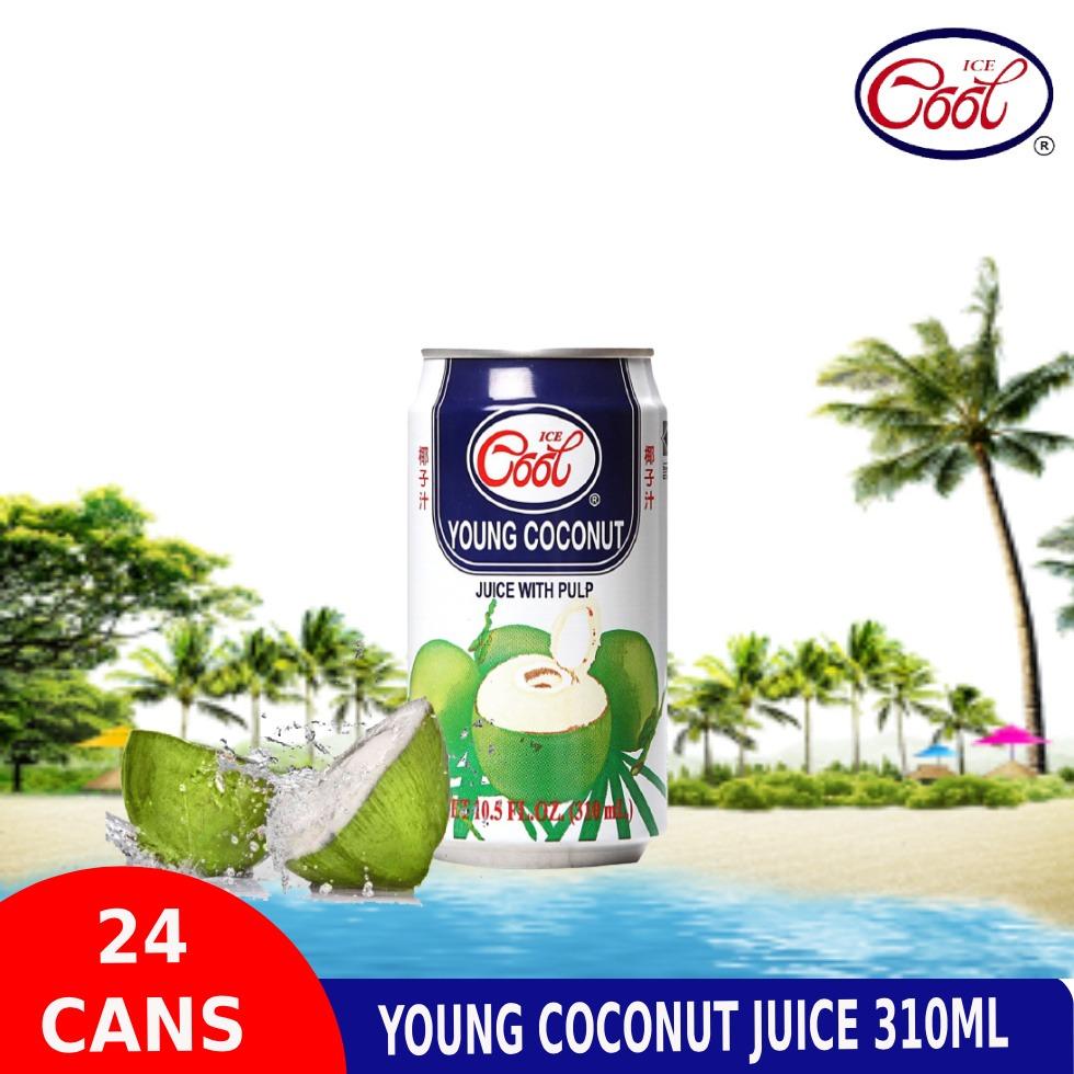 ICE COOL YOUNG COCONUT / ROASTED COCONUT 310ML / 500ML X 24S - FLAMING ...