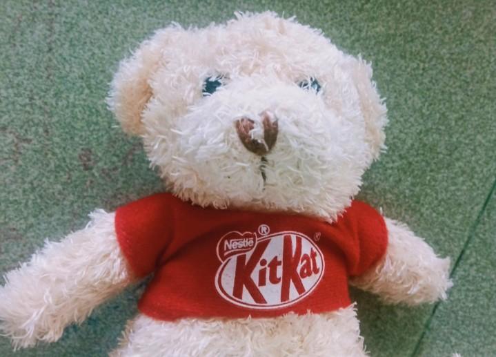 Kit Kat Teddy Bear., Hobbies & Toys, Toys & Games on Carousell