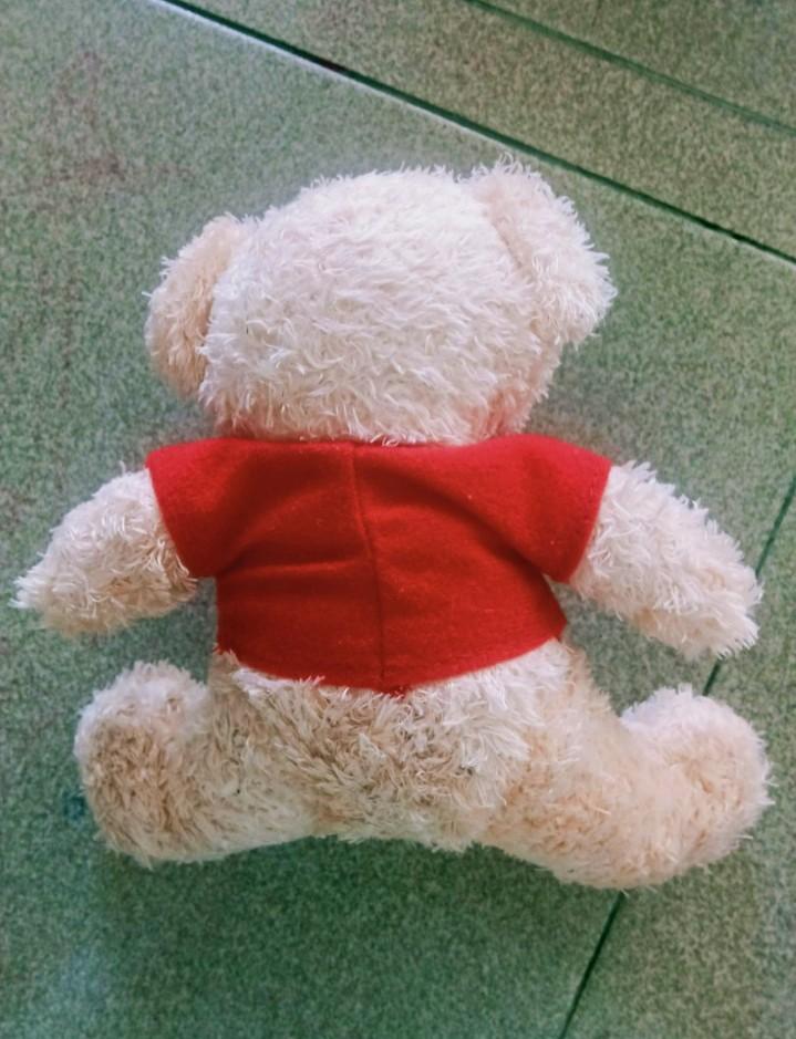 Kit Kat Teddy Bear., Hobbies & Toys, Toys & Games on Carousell