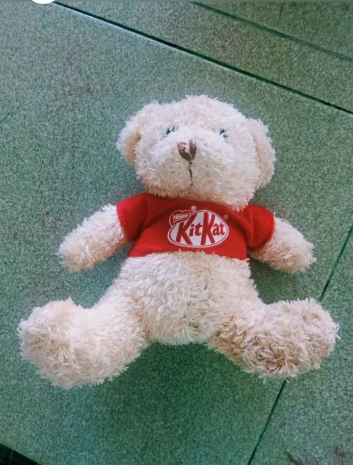 Kit Kat Teddy Bear., Hobbies & Toys, Toys & Games on Carousell