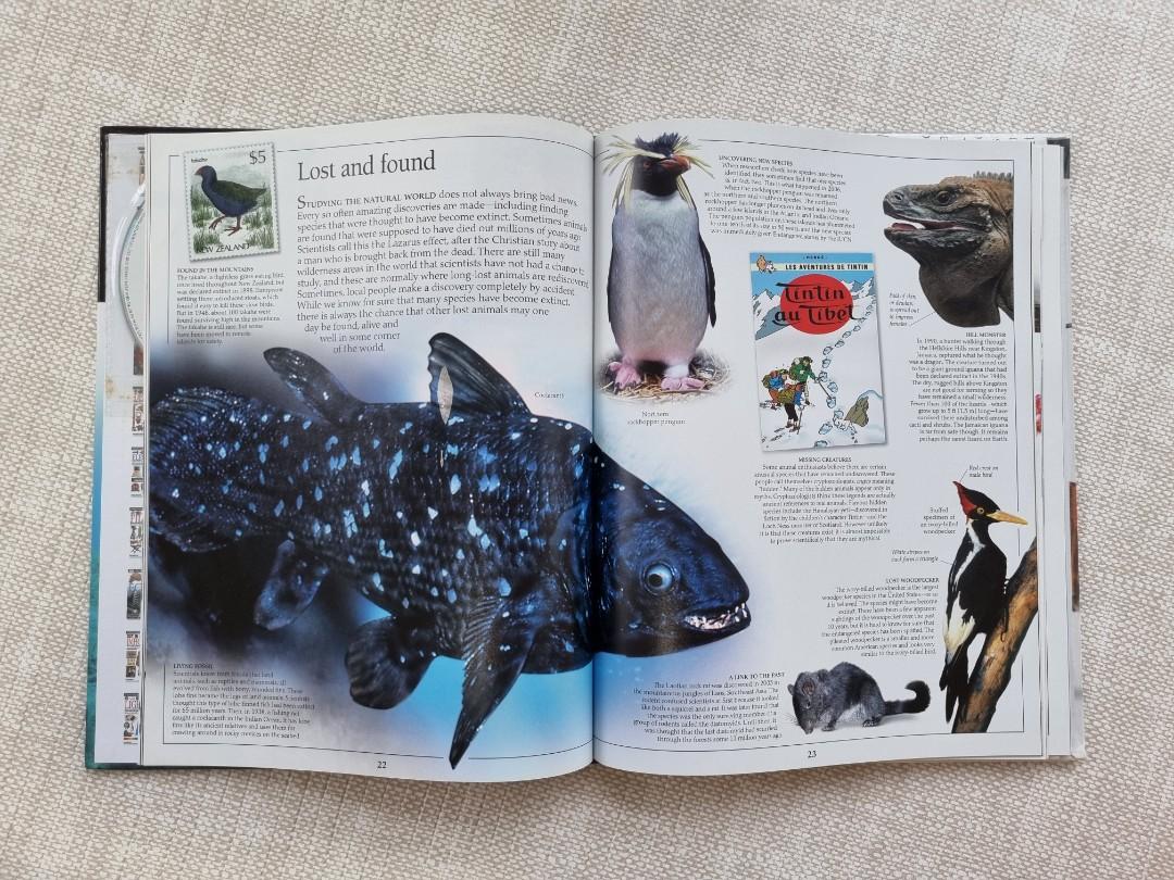 PL: DK Eyewitness Books, Endangered Animals (Hardcover + CD and poster ...