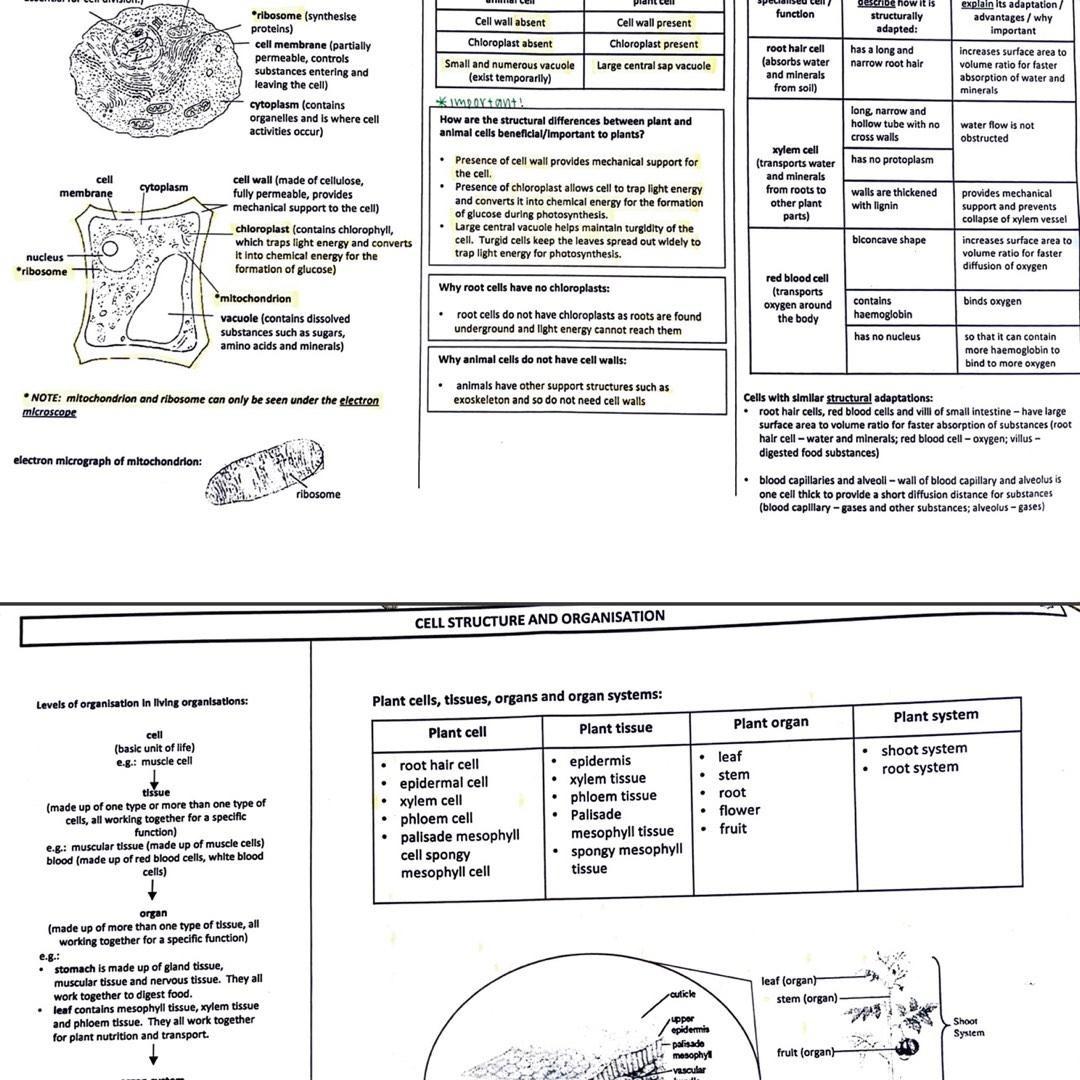 science (biology) 5078 summary/ detailed notes, Hobbies & Toys, Books ...