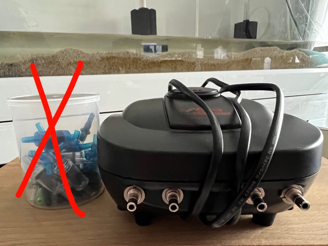 Sera Air 550 R Plus Pump, Pet Supplies, Homes & Other Pet Accessories ...