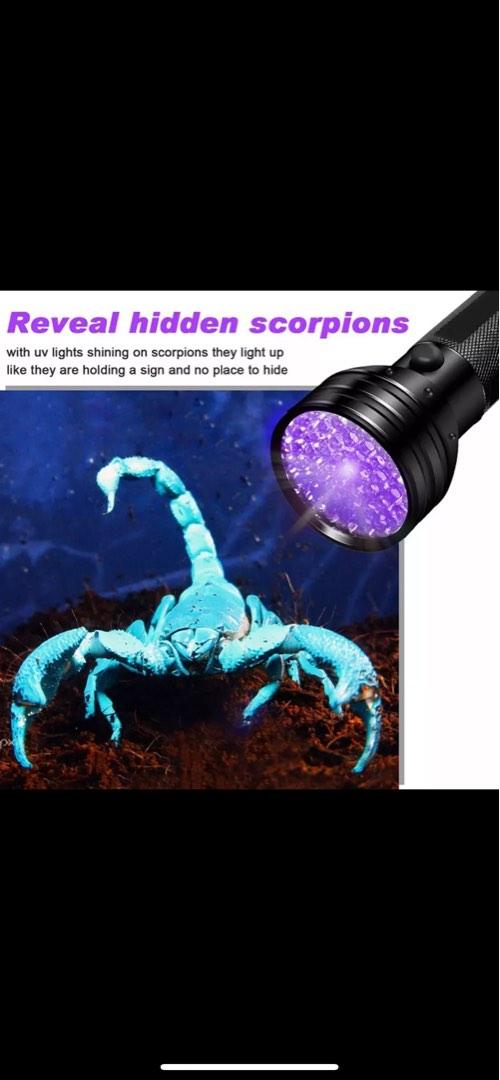 Super Bright 100 LED 395nm Ultraviolet Torch Flashlight UV Blacklight ...