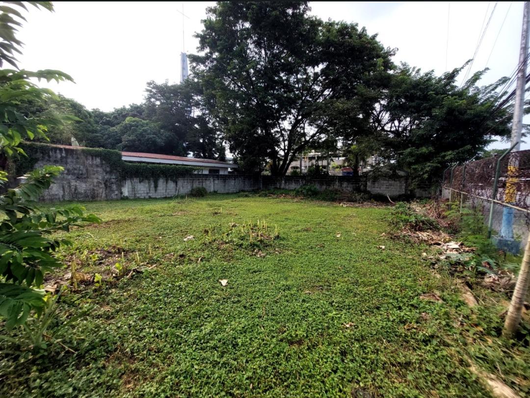 Vacant residential lot in Posadas Village Sucat Muntinlupa, Property ...
