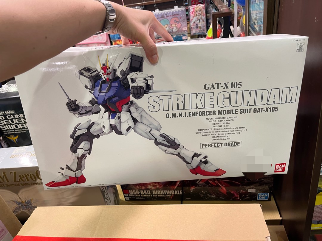 鋼彈 GUNDAM SEED DESTINY PG 1/60 GAT-X105 STRIKE 攻擊鋼彈, 家具及居家用品, 戶外家具在旋轉拍賣