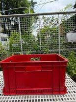 Meat Crates - frozen goods, Furniture & Home Living, Kitchenware ...