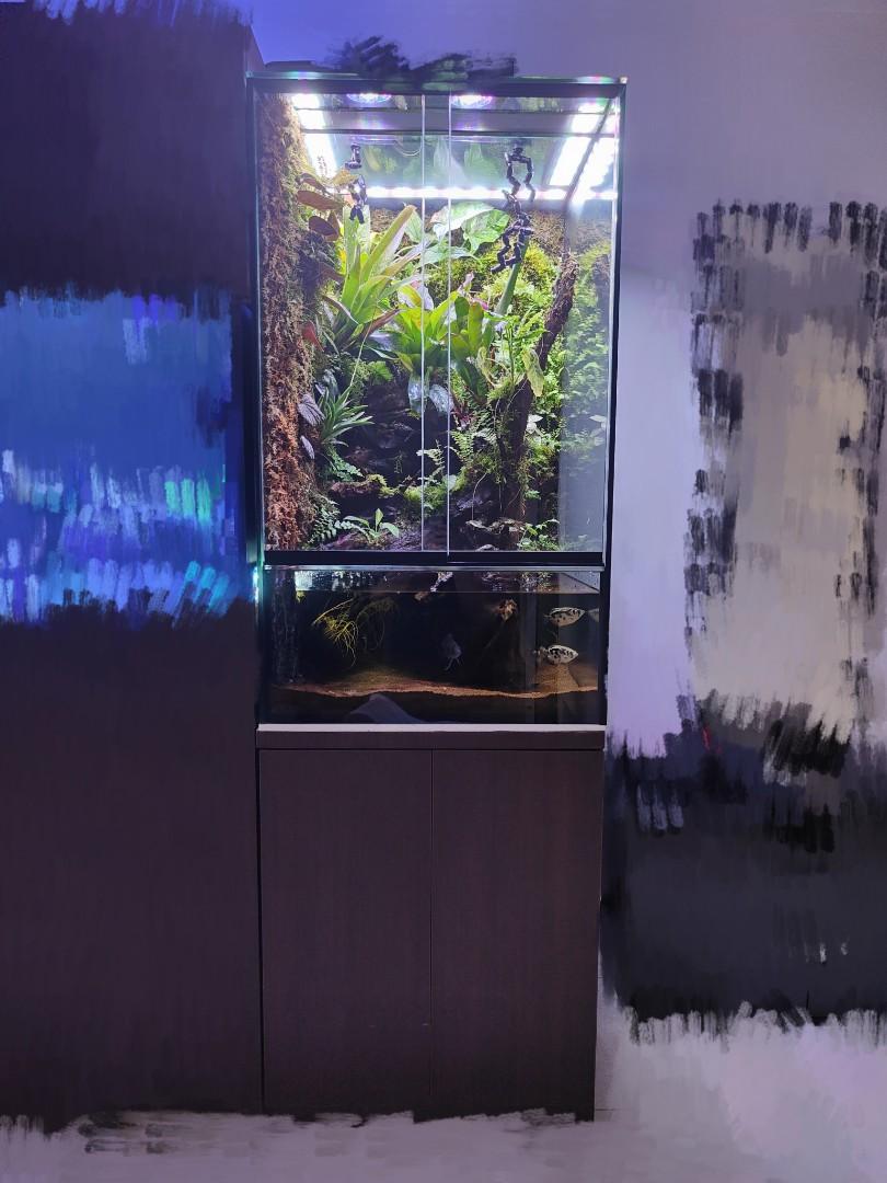 Paludarium Tank with cabinet for sales!!!, Pet Supplies, Homes & Other ...