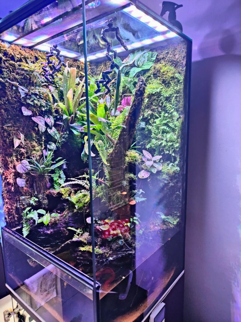 Paludarium Tank with cabinet for sales!!!, Pet Supplies, Homes & Other ...