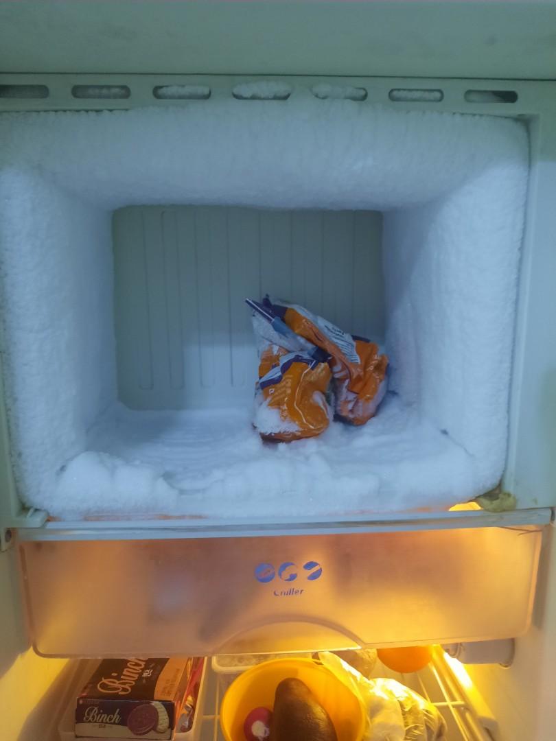 Condura Ref for Sale, TV & Home Appliances, Kitchen Appliances ...