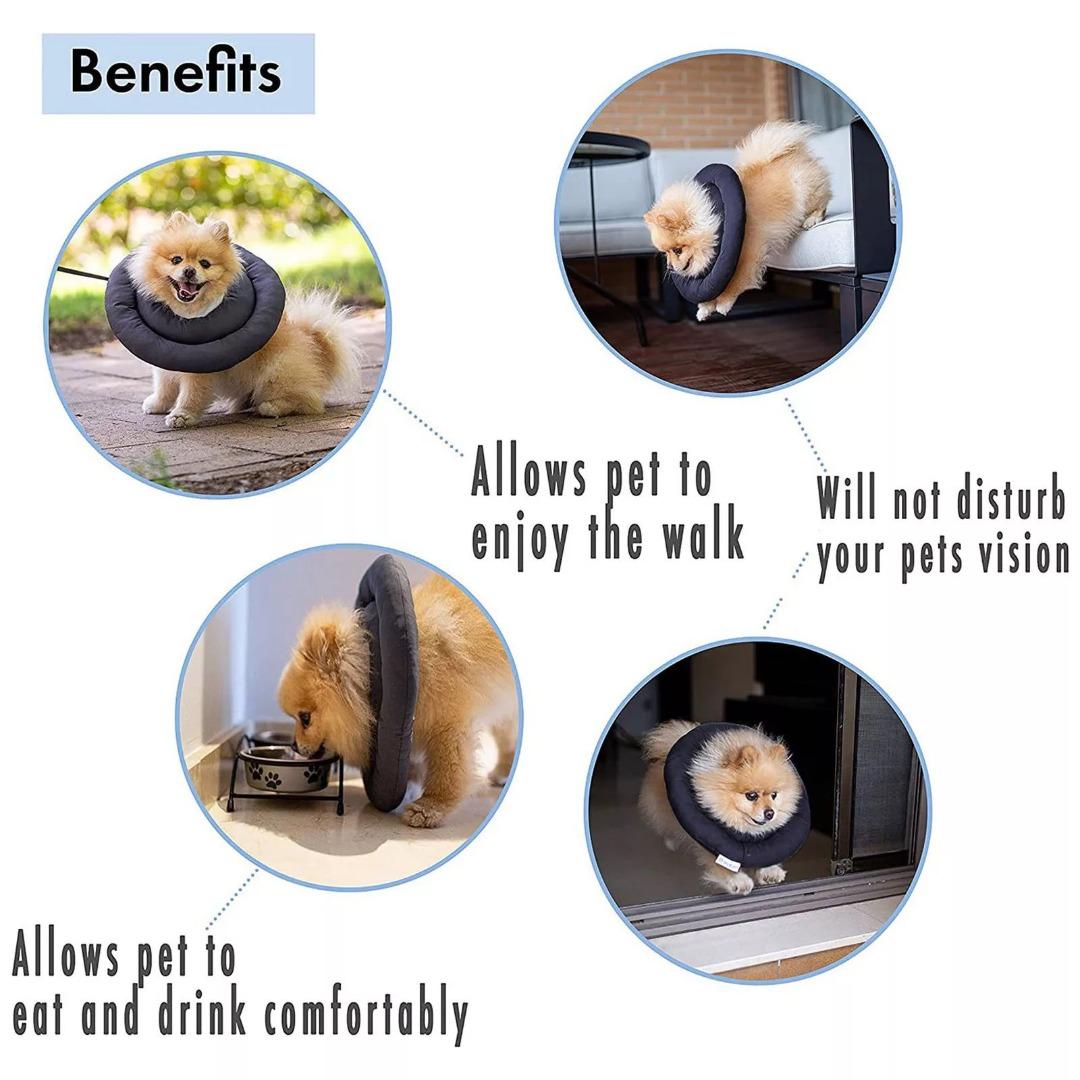 [SG STOCK] Pet Elizabethan Collar For Small Animals Dog And Cat ...
