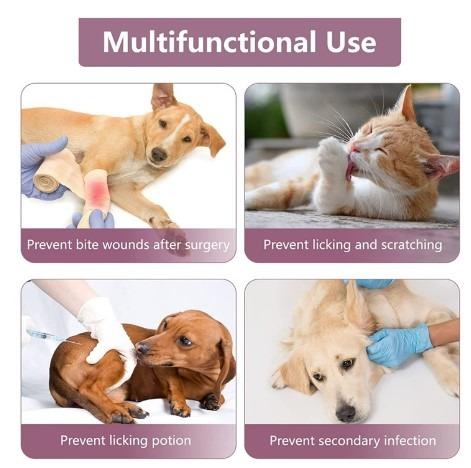 [SG STOCK] Pet Elizabethan Collar For Small Animals Dog And Cat ...