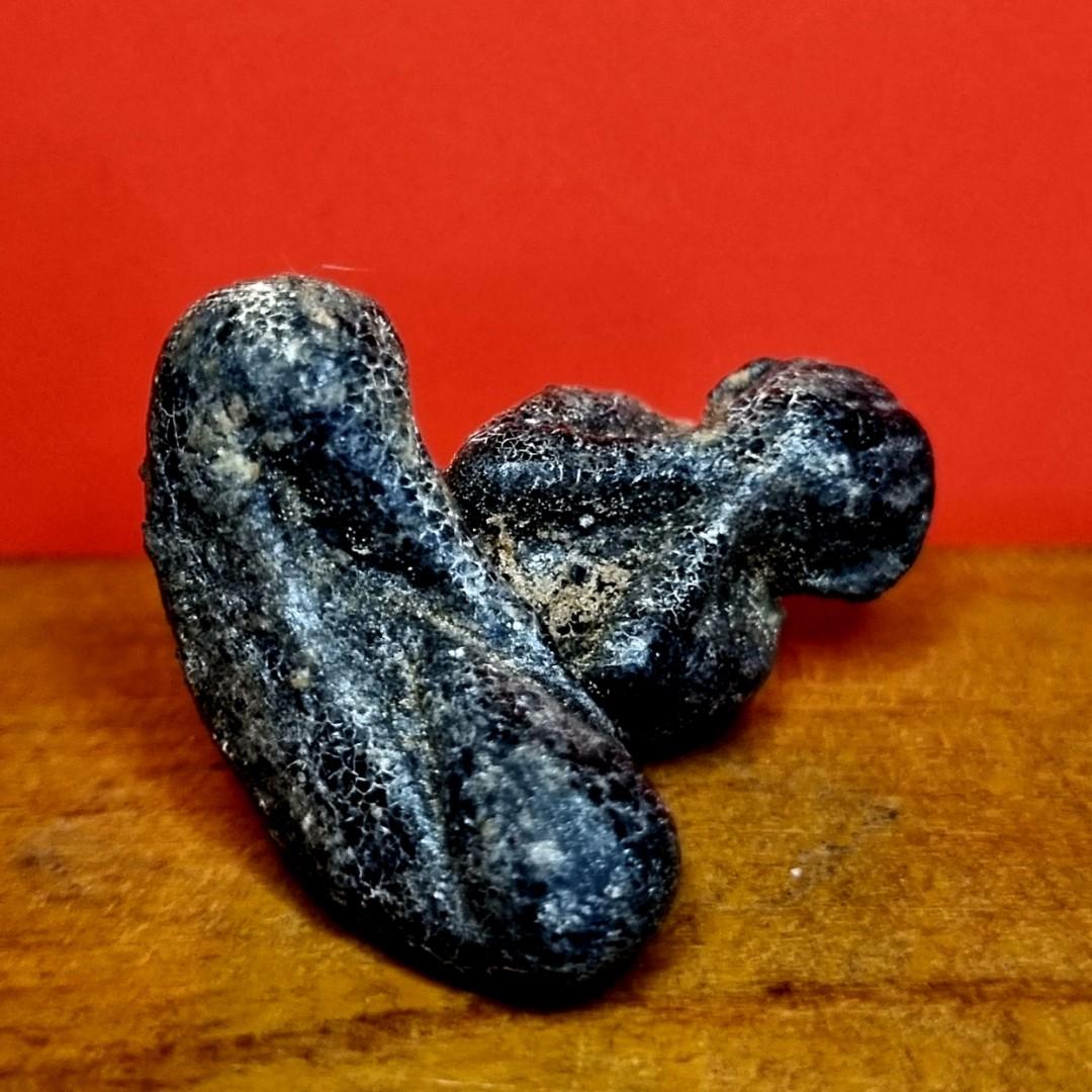 Tok Raja Snake Skin Pidta 2480, Hobbies & Toys, Memorabilia ...