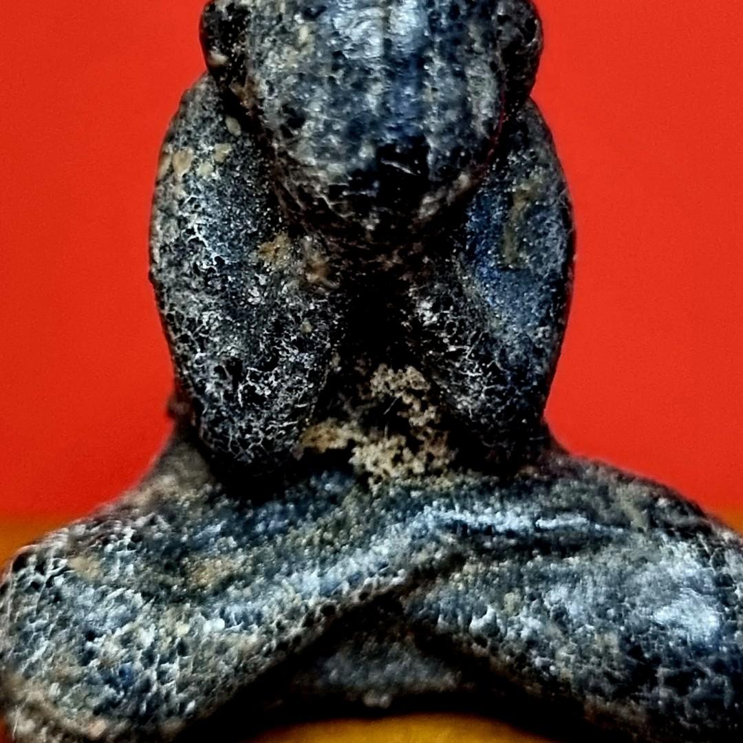 Tok Raja Snake Skin Pidta 2480, Hobbies & Toys, Memorabilia ...