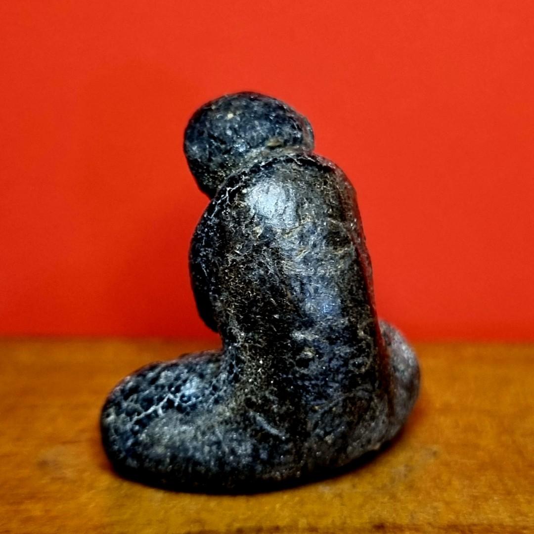 Tok Raja Snake Skin Pidta 2480, Hobbies & Toys, Memorabilia ...