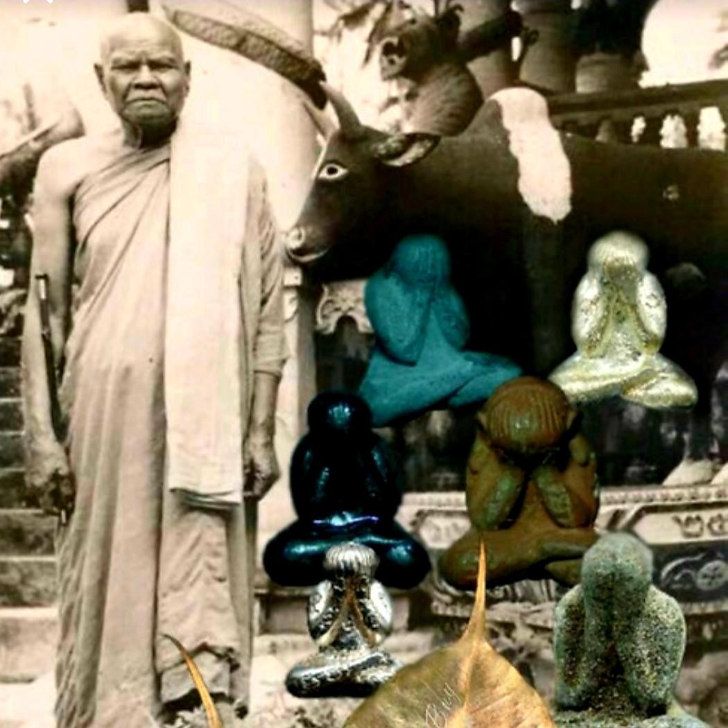 Tok Raja Snake Skin Pidta 2480, Hobbies & Toys, Memorabilia ...