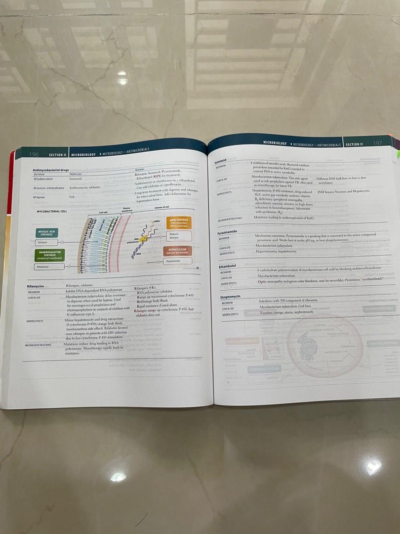USMLE STEP 1 First Aid, Hobbies & Toys, Books & Magazines, Textbooks on ...