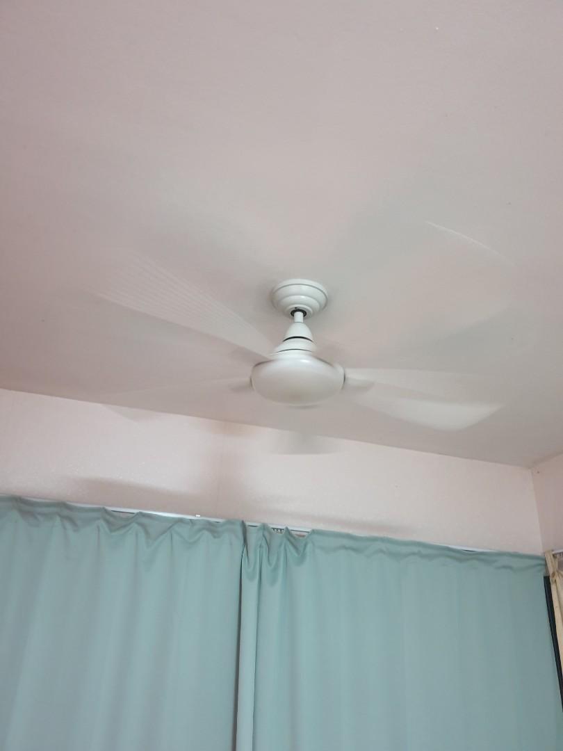 Amasco ceiling fan 50 inch white, Furniture & Home Living, Lighting ...