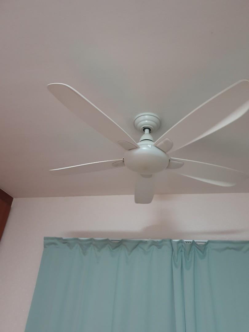 Amasco ceiling fan 50 inch white, Furniture & Home Living, Lighting ...