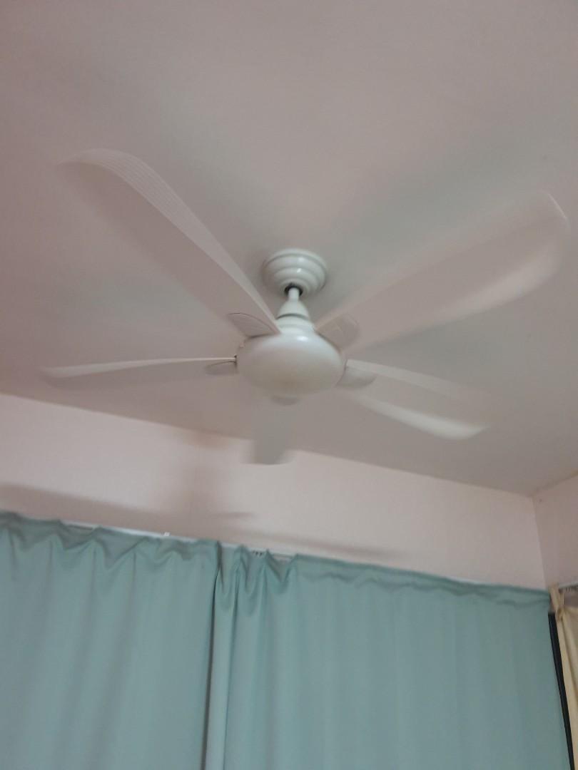 Amasco ceiling fan 50 inch white, Furniture & Home Living, Lighting ...