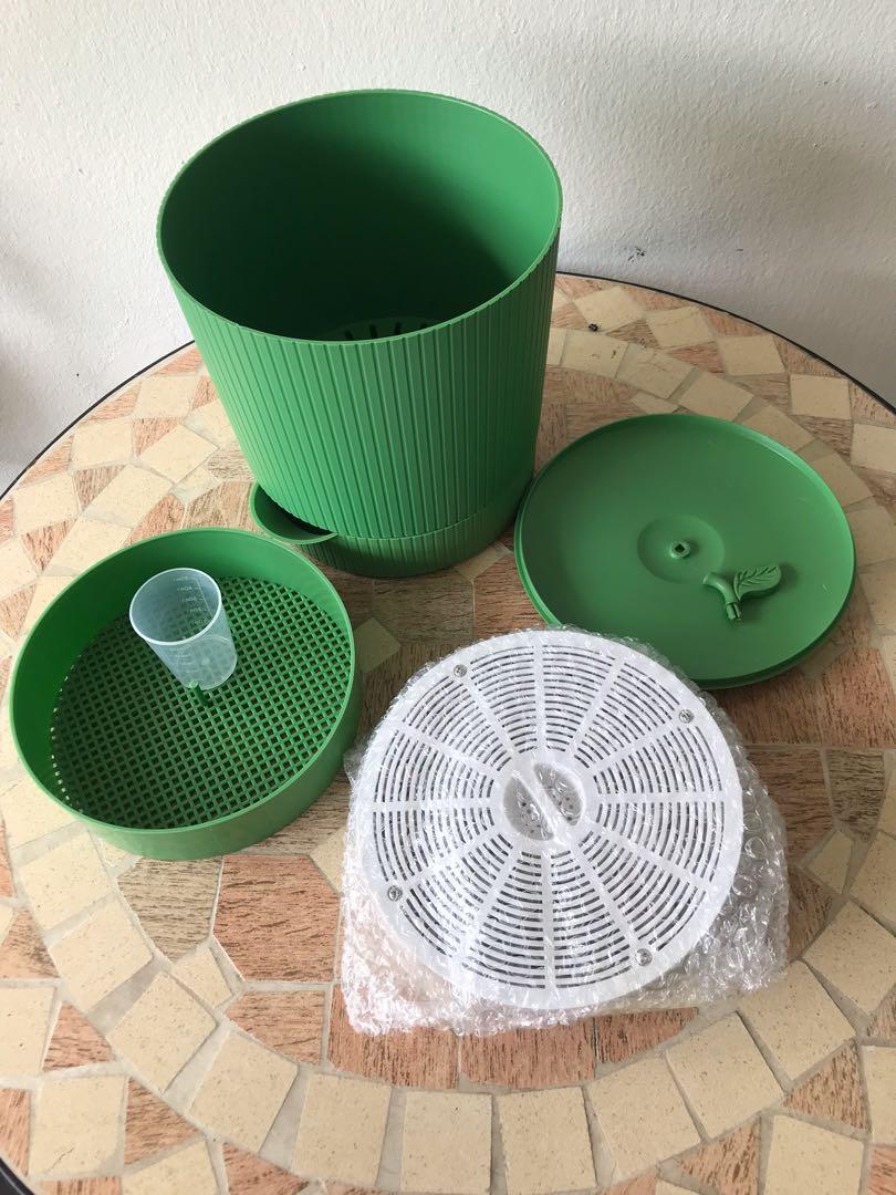 Bean sprout bin, Food & Drinks, Other Food & Drinks on Carousell